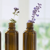 How to create a mailing list – Amy rempel – making you healthier and ...